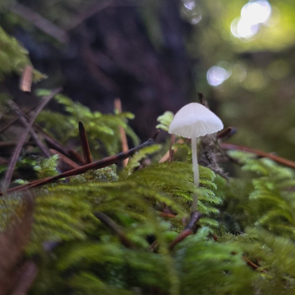 An Incredible Oregon Coast Road Trip (3 Days on Highway 101) – The ...